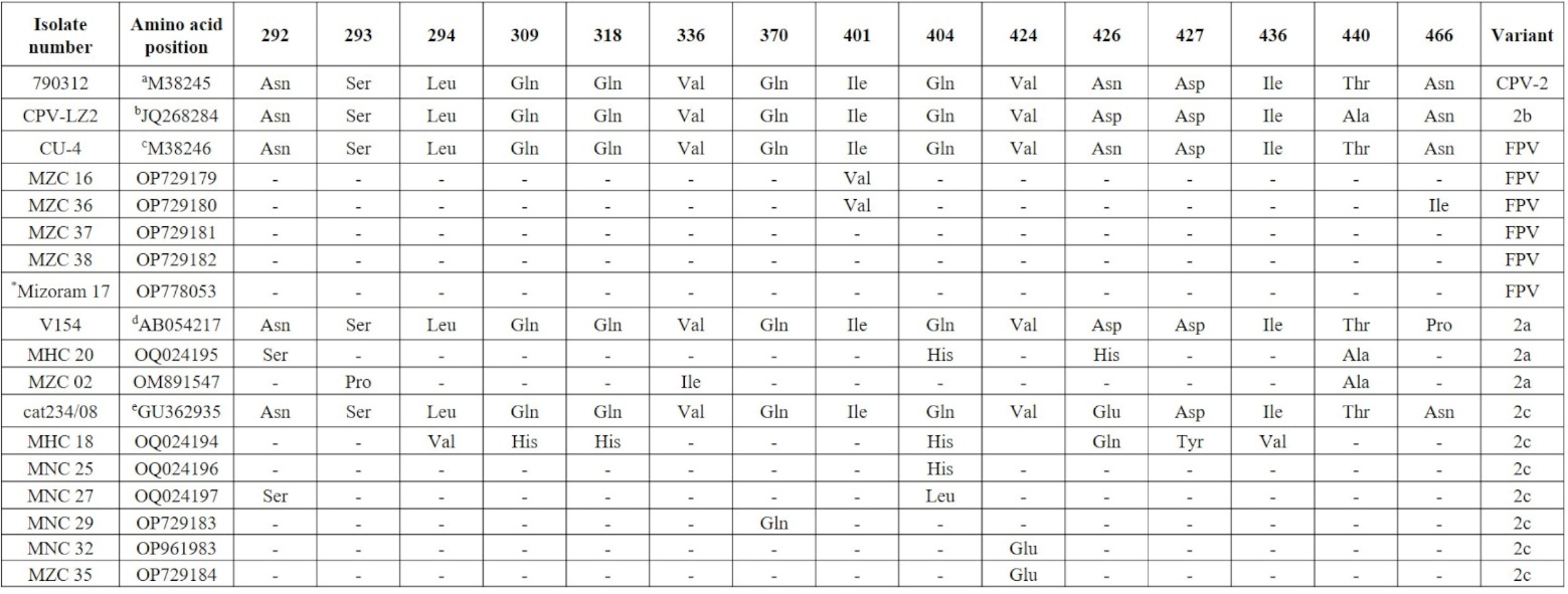 Isolation and genetic characterization of parvoviruses from domestic ...